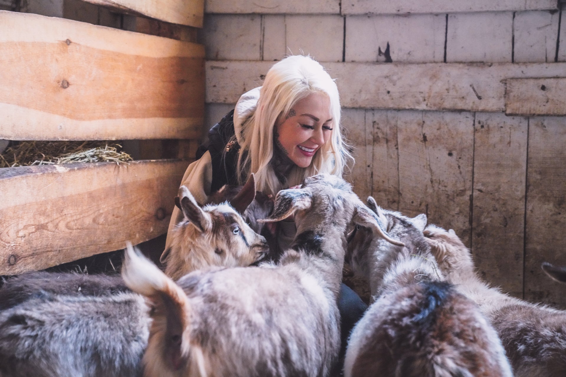 P'Nuts Freedom Farm – P'Nuts Freedom Farm